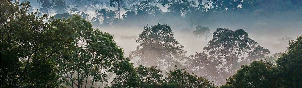 Welcome - Julia Yang